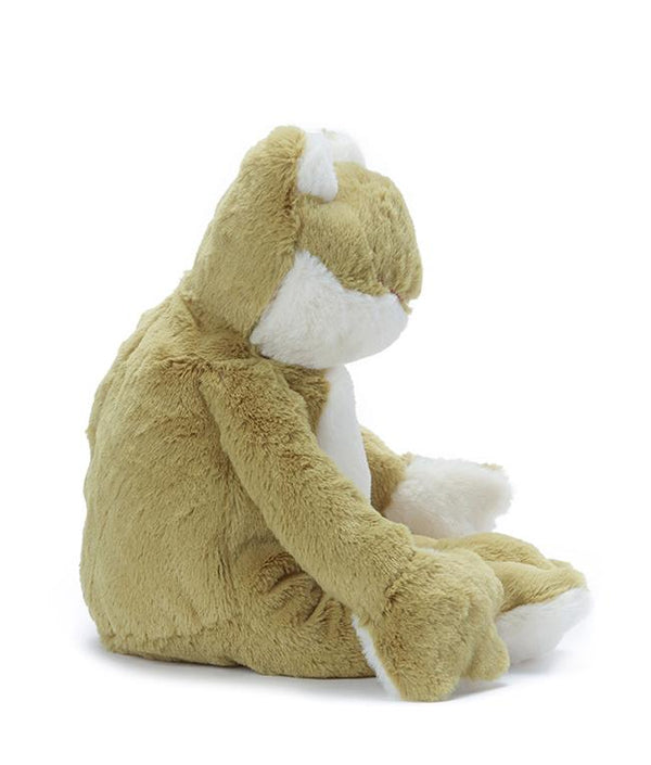 Frank the Frog - Kawaii Kids